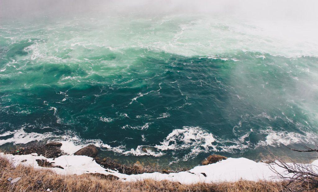 The ocean is turning green. Yes, it’s climate change